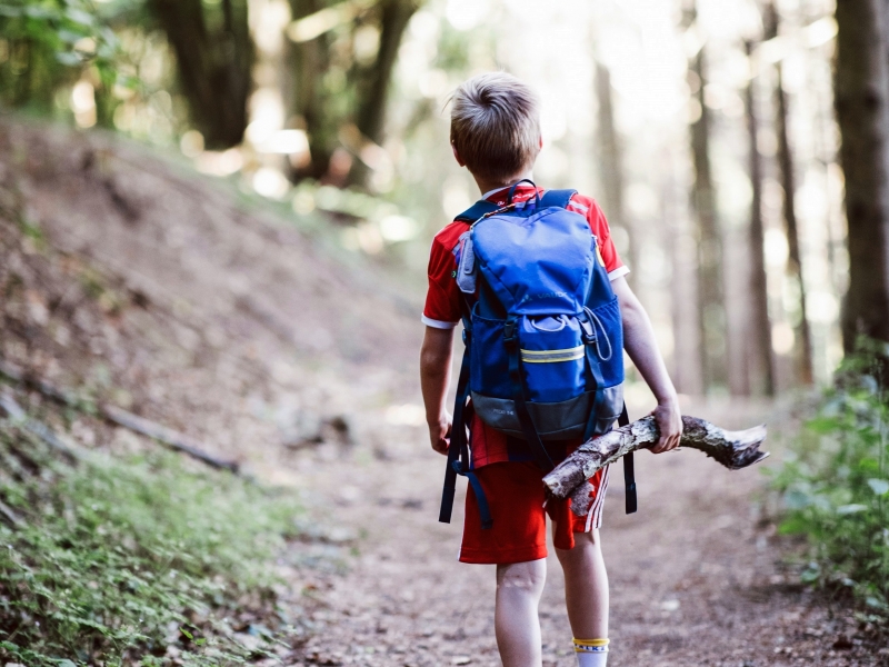 信報教育 - 獨立能力