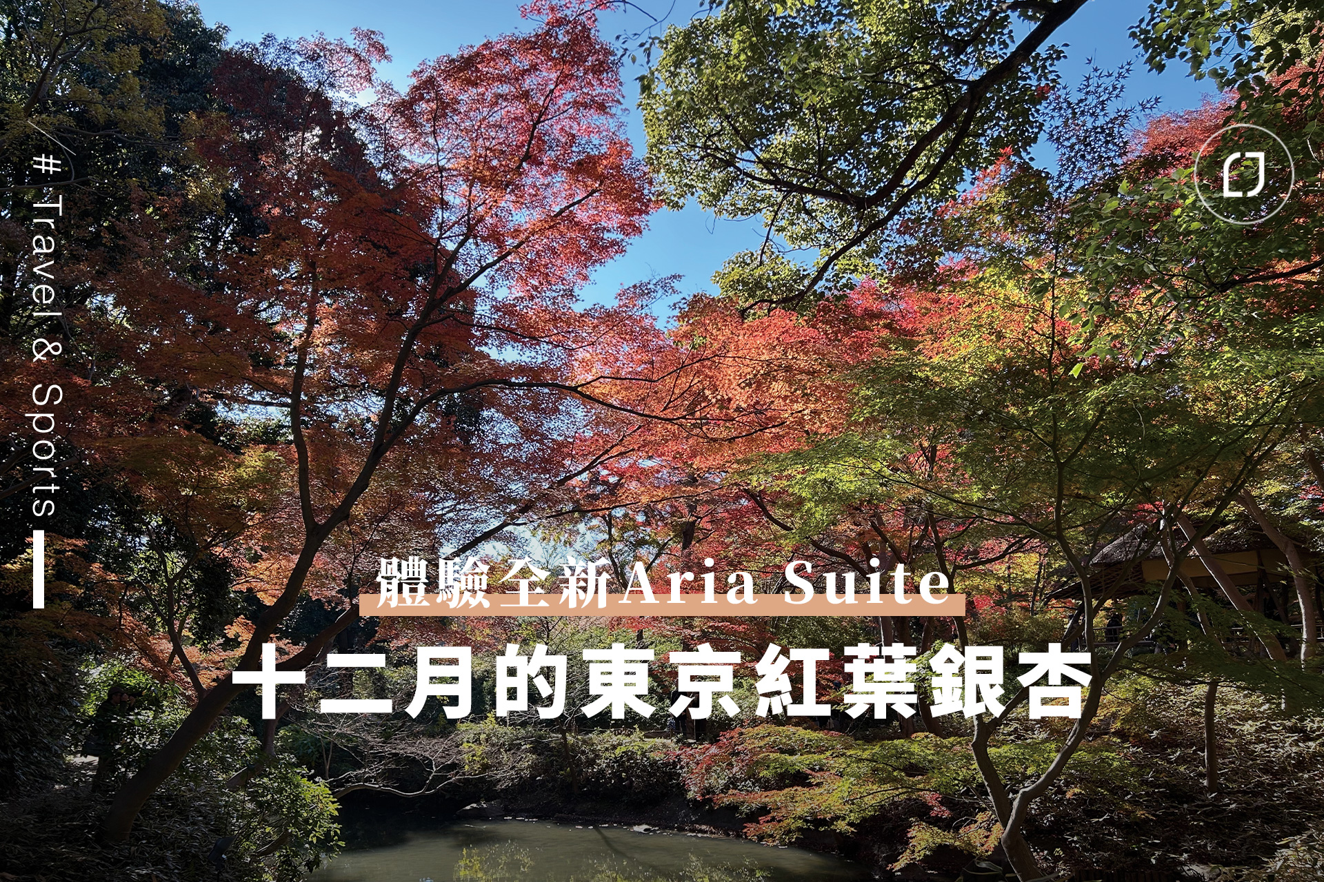 十二月的東京紅葉銀杏 -- LifeStyle Journal 優雅生活